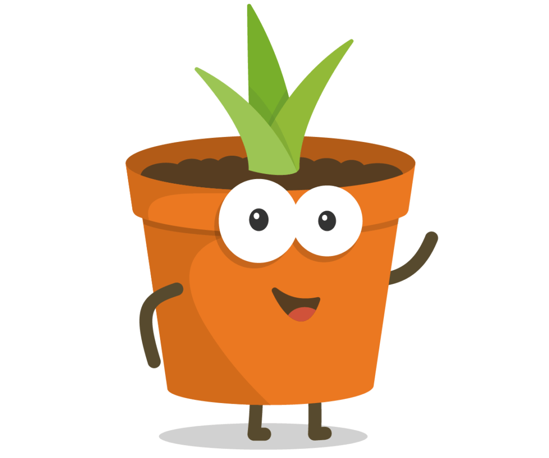 Cress Heads - National Children's Gardening Week