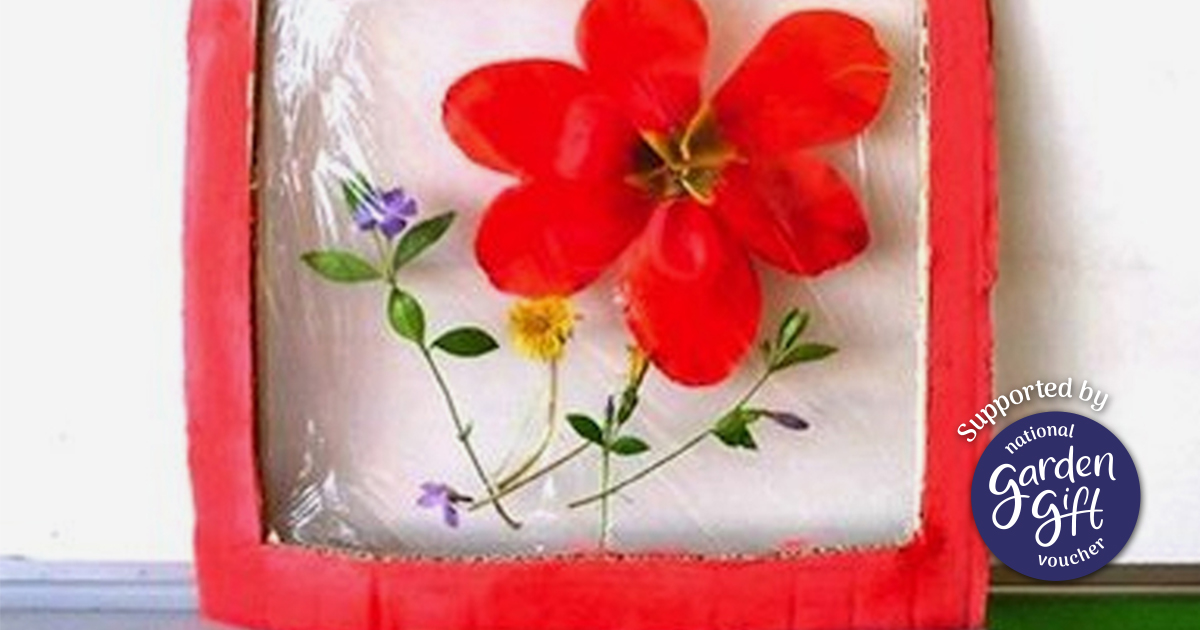 Framed Flowers DIY - National Children's Gardening Week