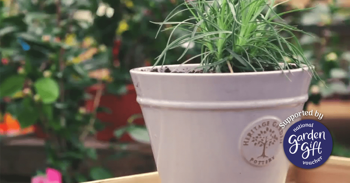 How to make a pot plant - National Children's Gardening Week