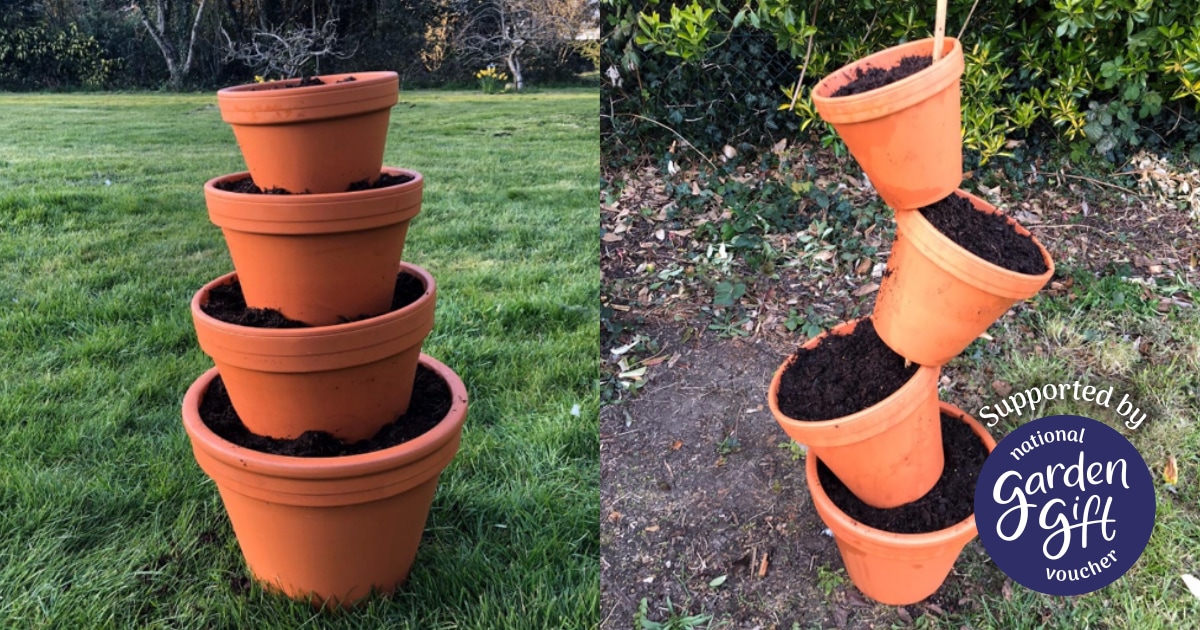 What To Plant In Stacking Pots at Doreen Woods blog